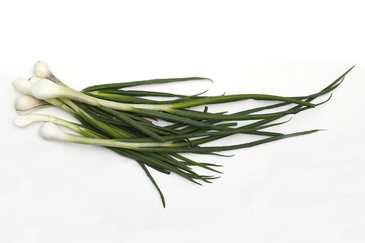 Supplier Sayuran Hidroponik - SUPPLIER SAYUR DAN BUAH