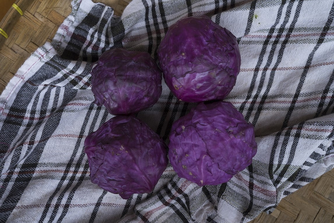 KOL UNGU - SUPPLIER SAYUR DAN BUAH JAKARTA SELATAN UTARA