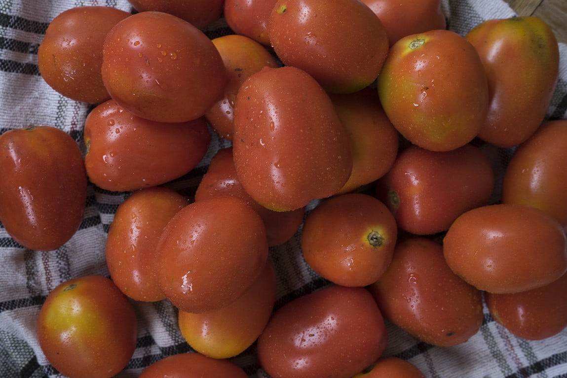 TOMAT MERAH SEGAR - SUPPLIER SAYUR DAN BUAH GROSIR BUAH